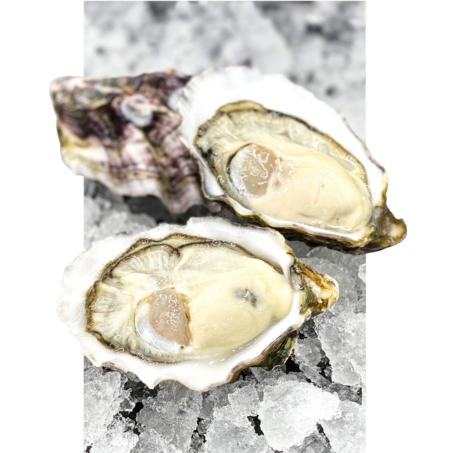 Quentin et Emmeline - Huitre d'exception de l'étang de Thau